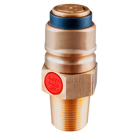 LPG Jumbo Valves - Cavagna Group ®Official Website